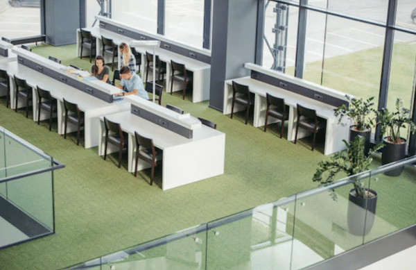 Navigating Commercial and Residential Foreclosures: A Positive ...